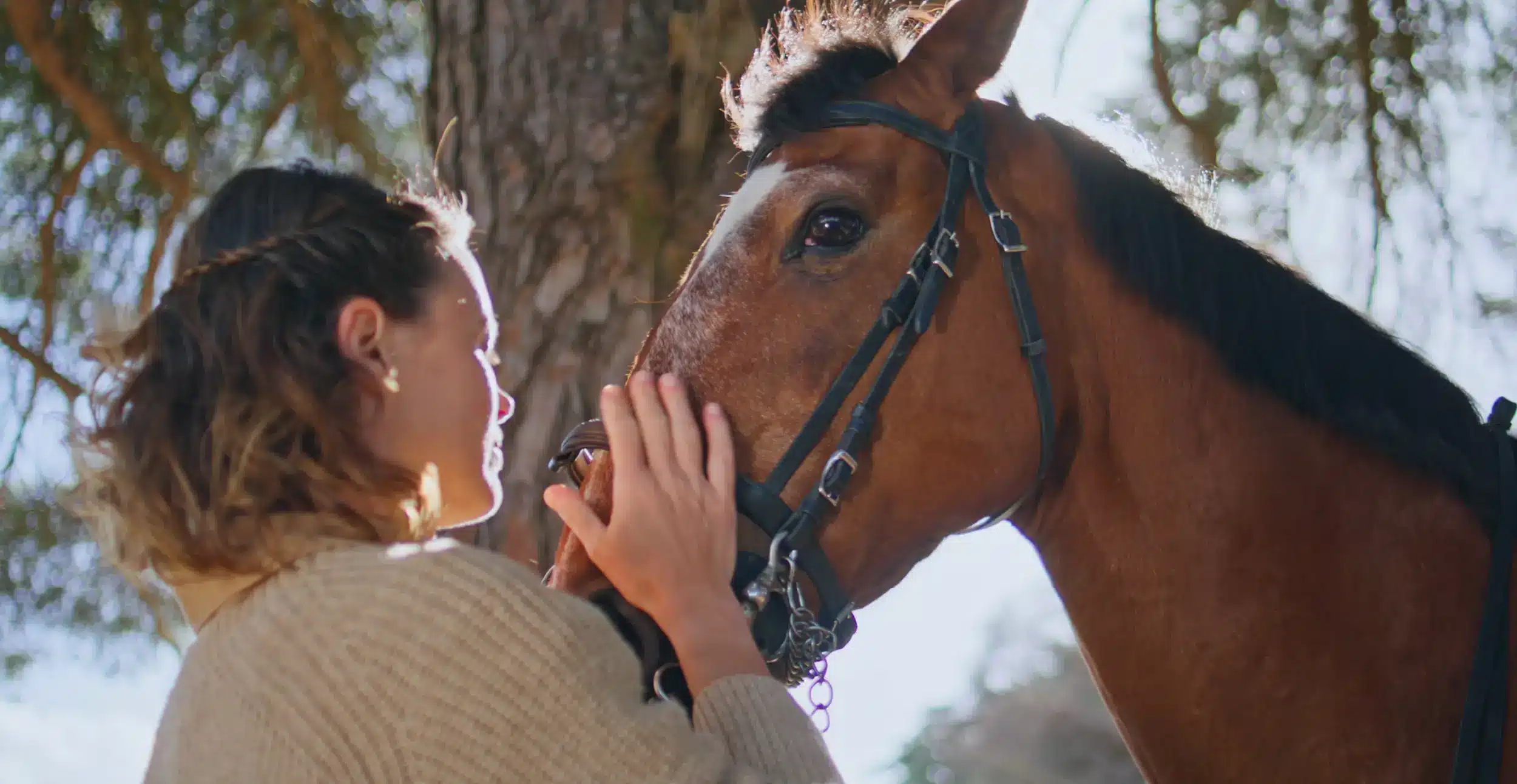 What Is Equine Therapy? Benefits & How It Helps